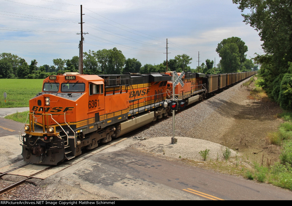 Elephant Style Gevos Crossing Hwy M